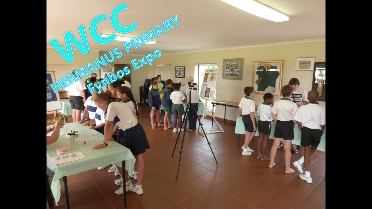 WCC Hermanus Primary School Expo 2018 - YouTube