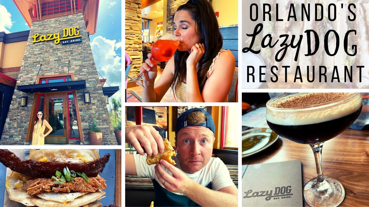 Orlando's Lazy Dog Restaurant | New Must Do Restaurant near Disney with ...