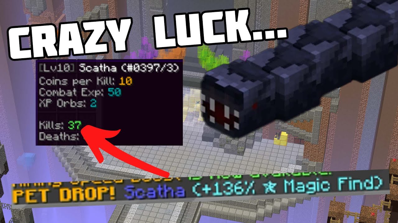 Bal Pet Hypixel Skyblock Drop Chance at Catherine Fletcher blog