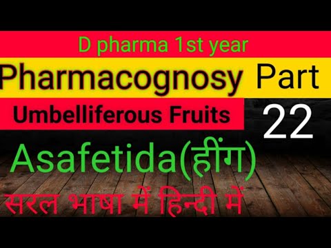 PHARMACOGNOSY || P -22|| हींग|| IN HINDI