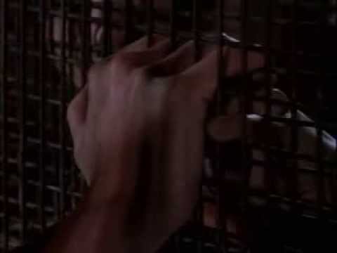 La Femme Nikita   1st part  Your hand
