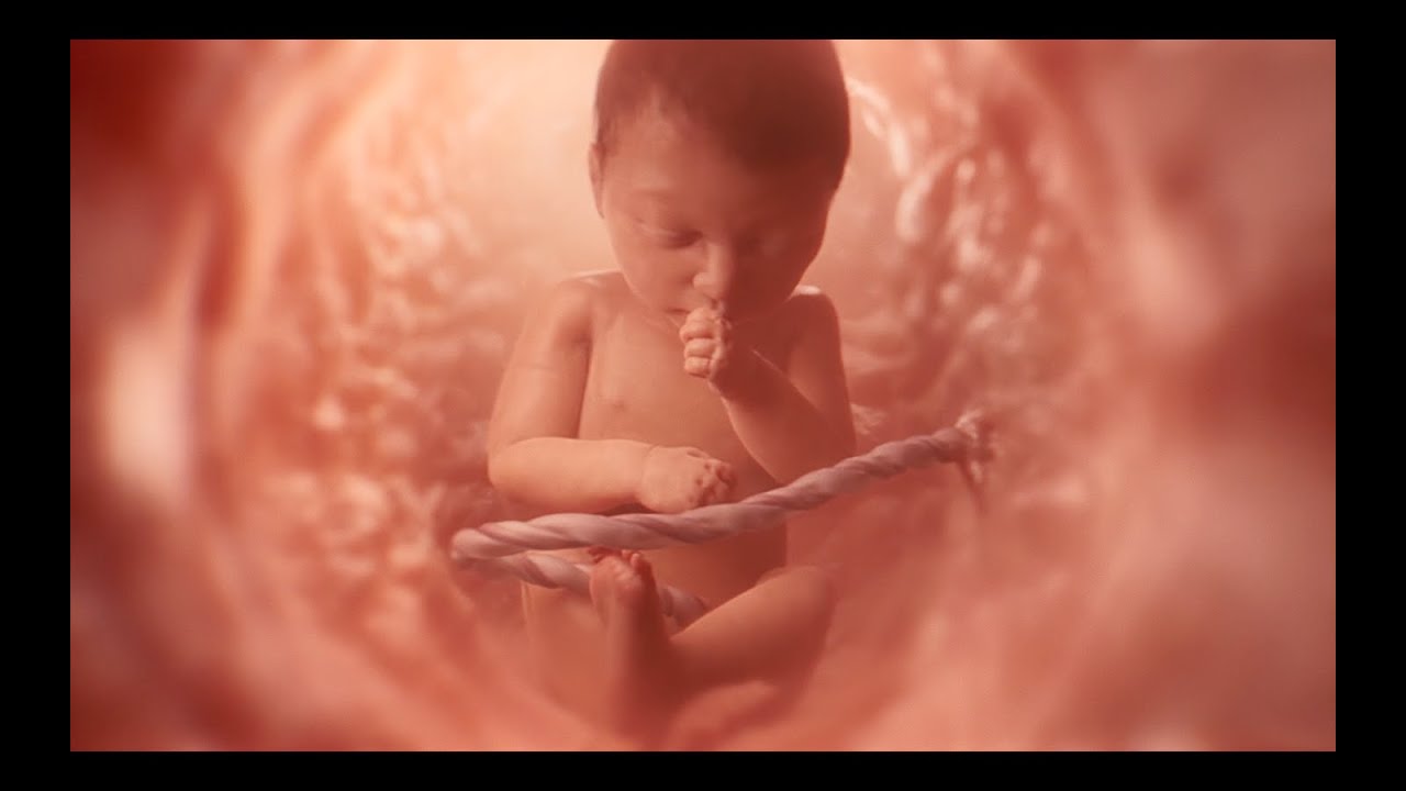 The Science is Crystal Clear On The Beginning Of Life - YouTube