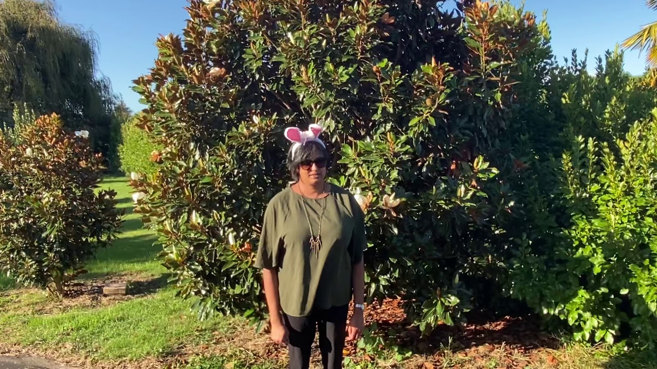 Using Makaton during Easter Egg Hunt - YouTube