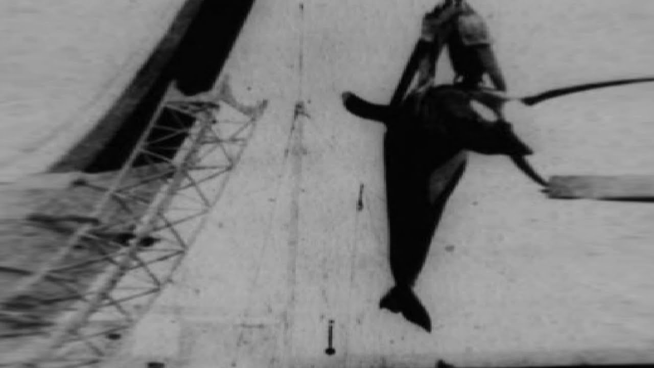 My Immortal - Tribute to Hugo - YouTube