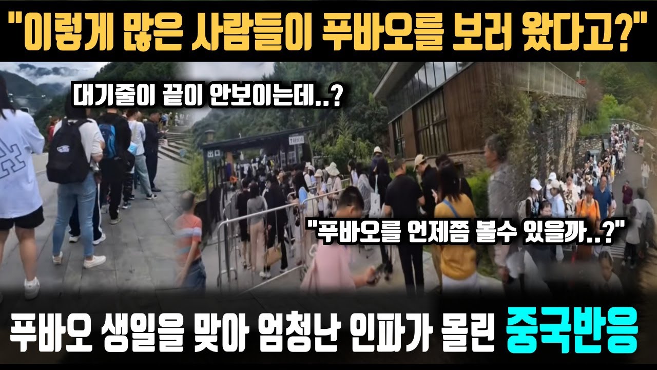 푸바오 생일에는 과연 얼마나 많은 인파가 몰렸을까 역대급으로 수만명의 엄청난 수의 푸바오 팬들이 방문한 선수핑기지 Youtube