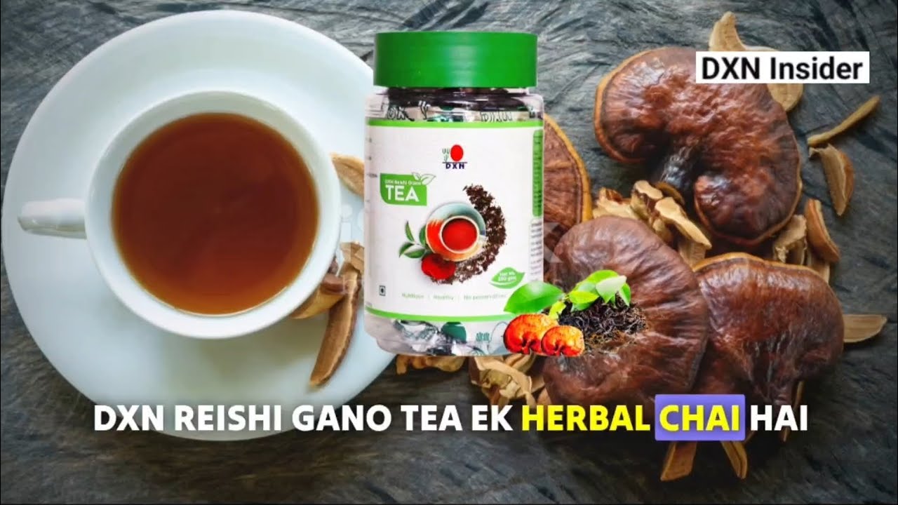 Benefits Of Reishi Gano Tea | DXN रेशी गानो चाय के लाभ ☕ - YouTube