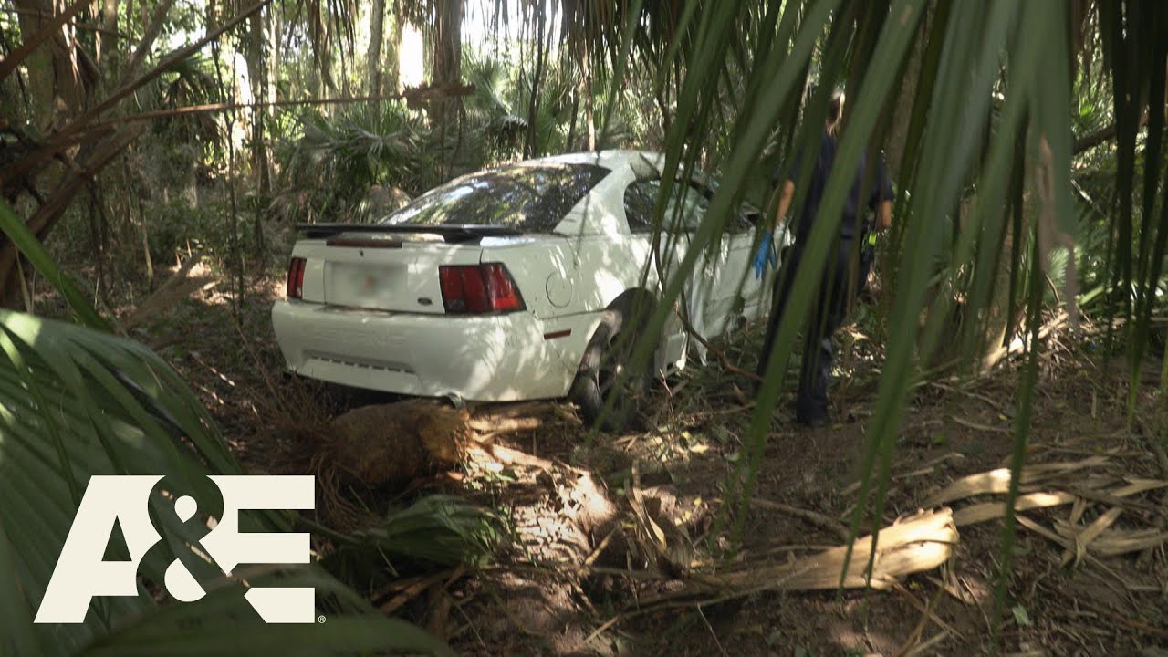 Live Rescue: High-Speed Crash Into the Woods (Season 3) | A&E - YouTube