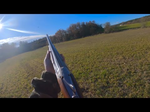 COMPILATION CHASSE GRIVES NOVEMBRE | DÉCEMBRE 2023 GARD - YouTube