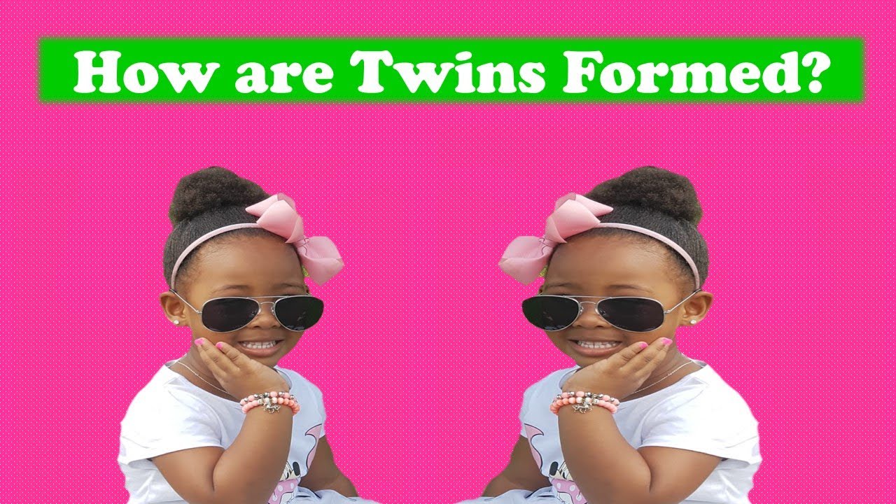 Twins (How are twins formed?) - YouTube