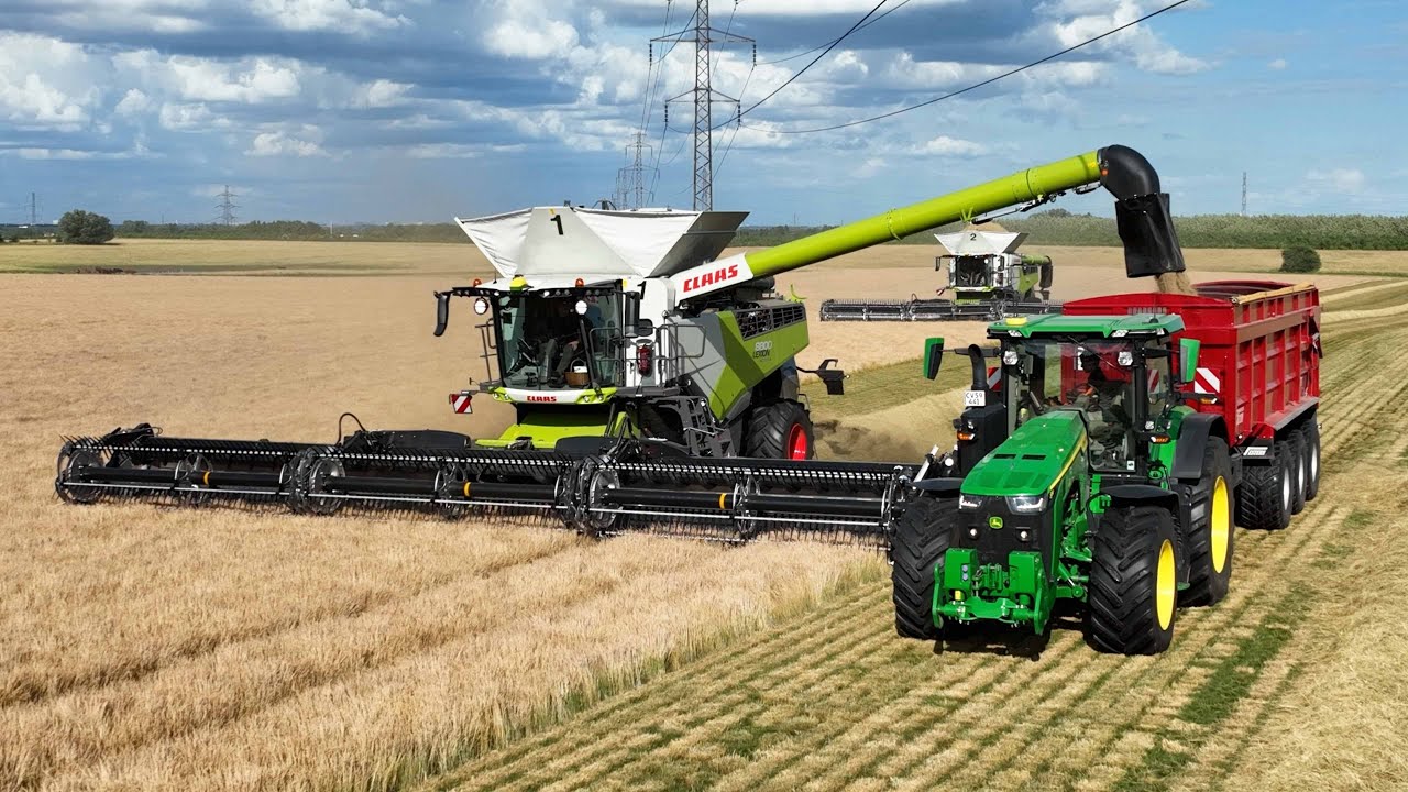 Claas Lexion 8800 harvesting Grass Seed with MacDon FD245 - 45ft. wide ...