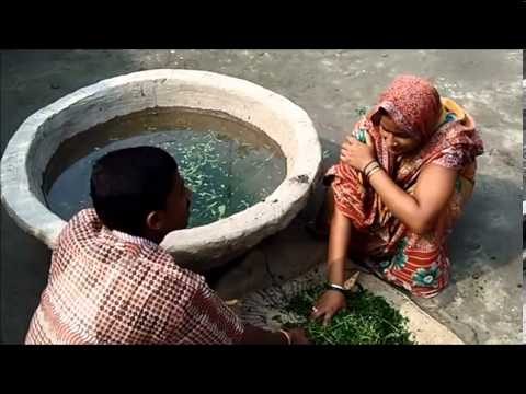 Nimastra Preparation - YouTube