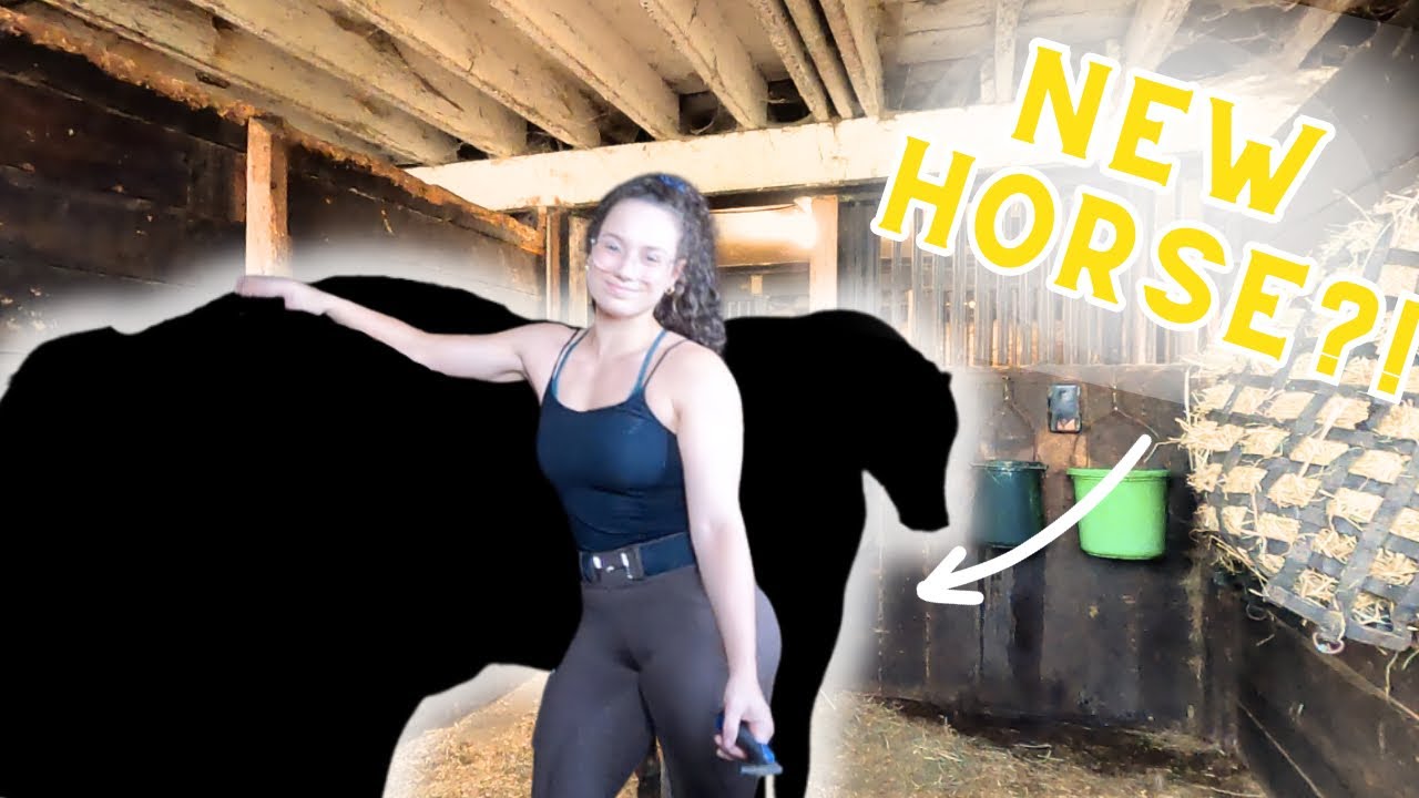 RIDING A NEW HORSE | RIDE WITH ME VLOG - YouTube