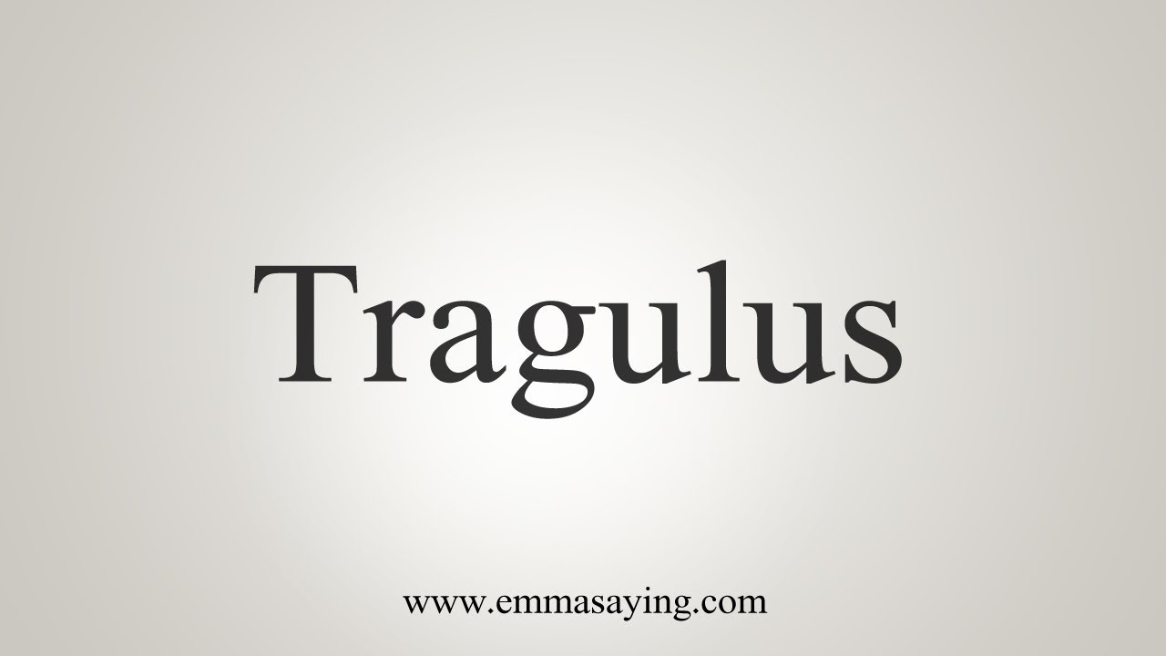 How To Say Tragulus - YouTube