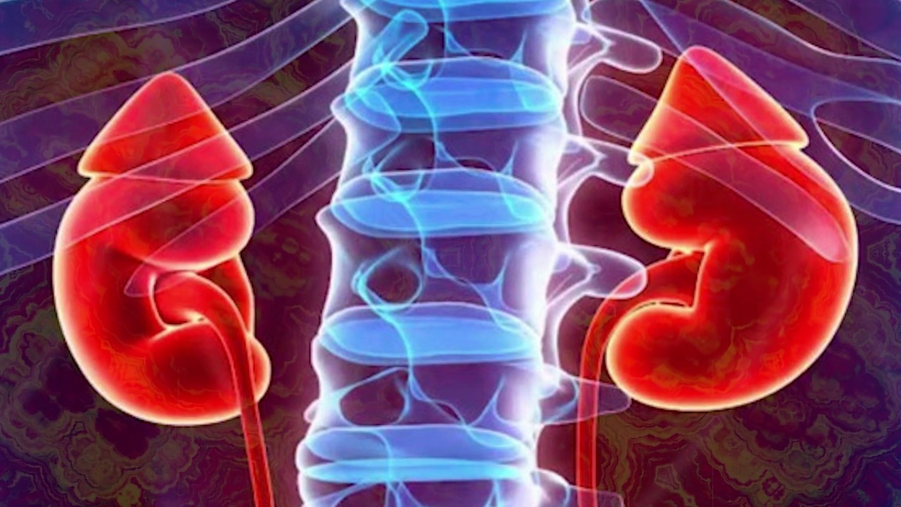 352 Hz - Digital Tuning Fork - YouTube