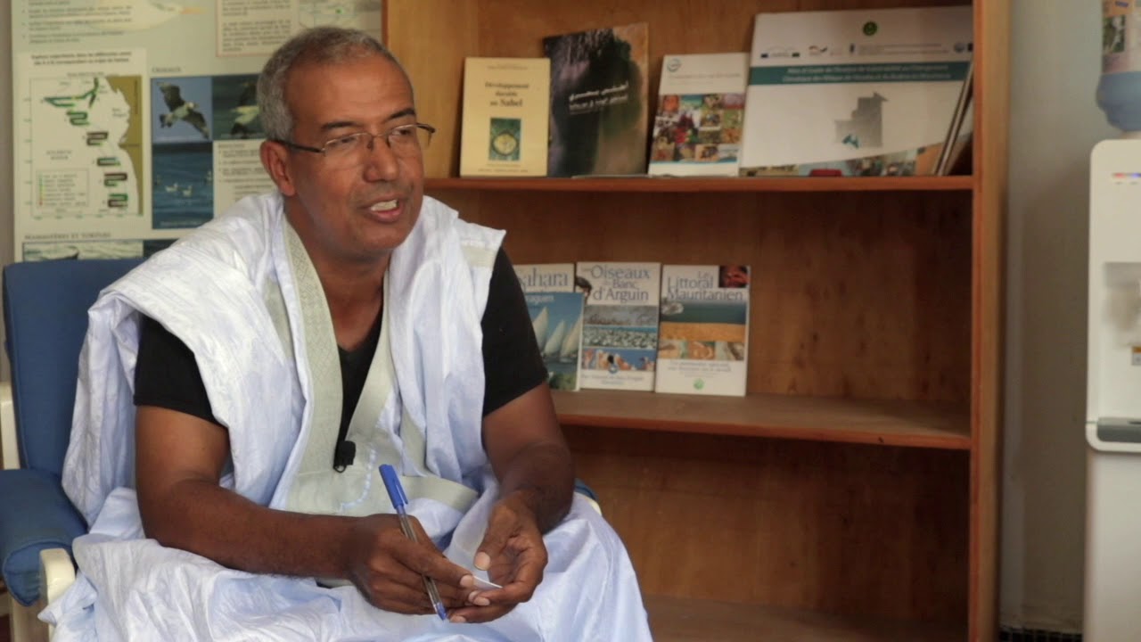 Question au professeur Mohamed Baba , chimiste: C'est quoi l'orpaillage ...