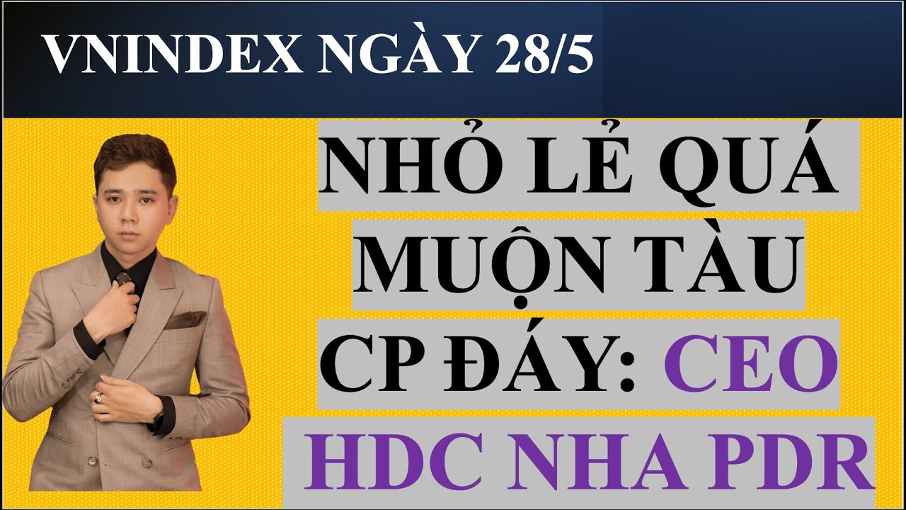 VNi vượt đỉnh làm sao giờ? - Cổ phiếu đáy: CEO PDR HDC NHA - YouTube