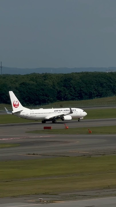 【新千歳空港】JAL B737-800離陸 #新千歳空港 #jal #b737 #空港 #国際空港 #飛行機 - YouTube
