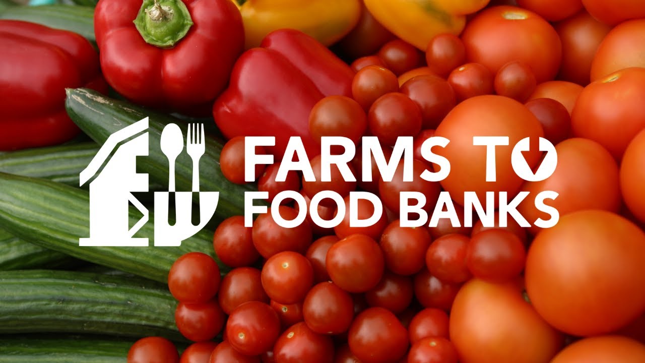 Farms to Food Banks Introductory Video - YouTube
