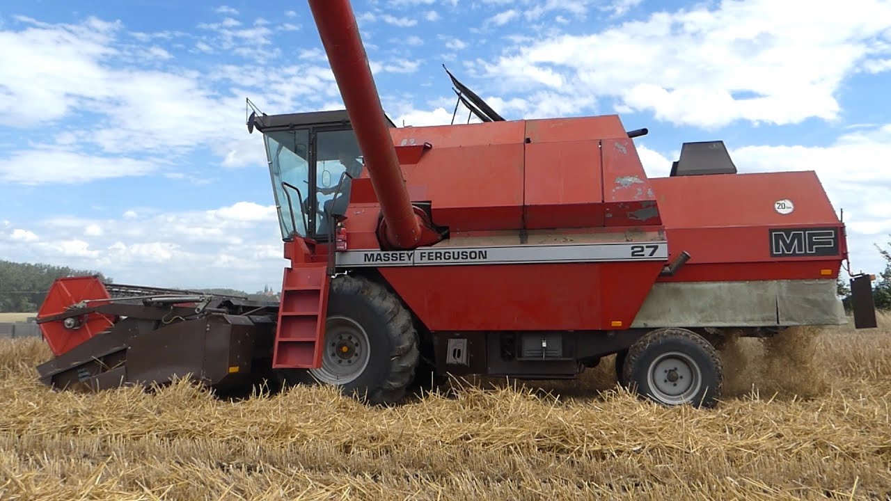 Massey Ferguson MF 27- Gerste dreschen in der Börde- Ernte 2024 beginnt - YouTube