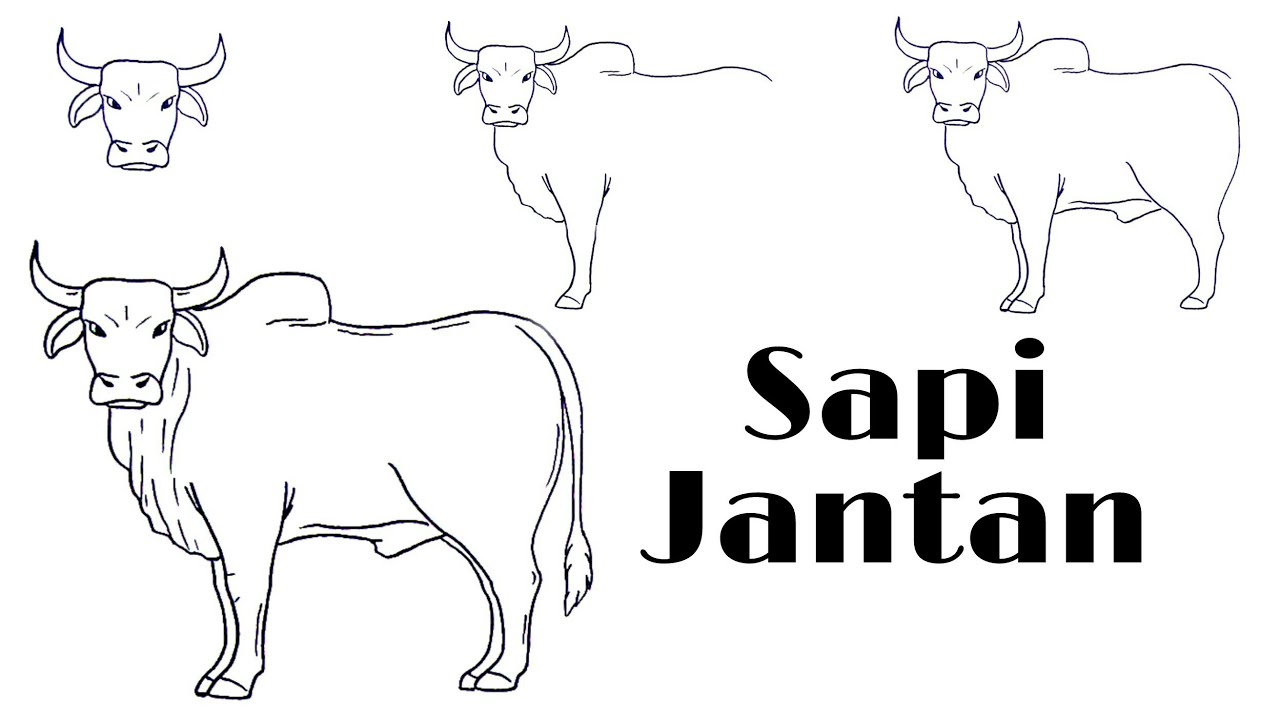 CARA MENGGAMBAR SAPI YANG BAGUS - YouTube