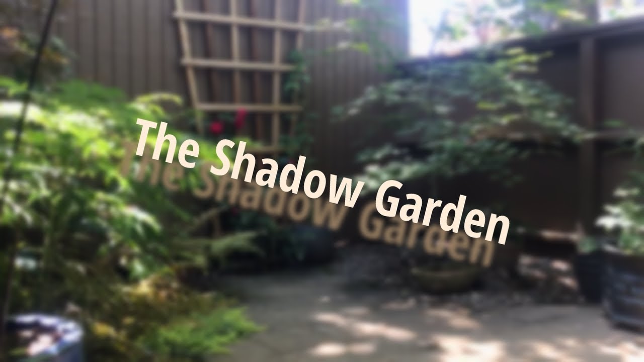 Place: The Shadow Garden - YouTube