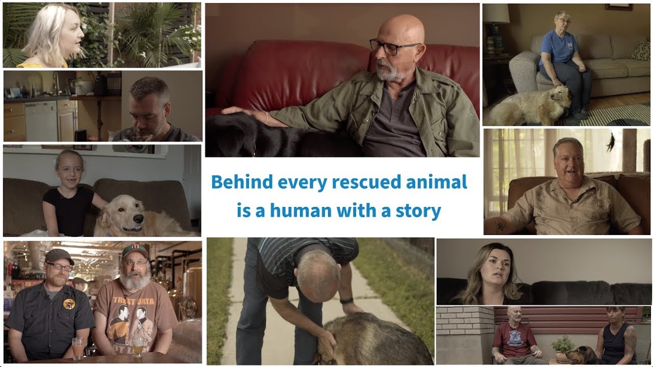 Behind every rescued animal is a human with a story - YouTube