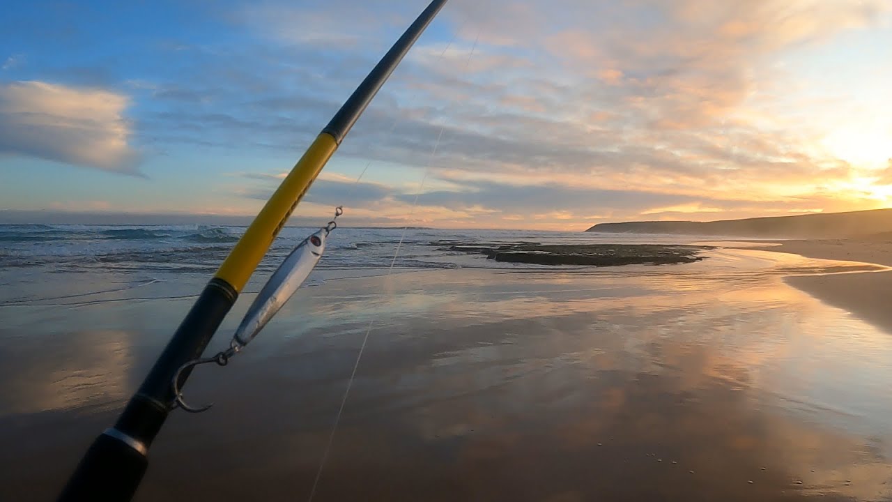 SUNSET SALMON FISHING|| BEACH ART|| - YouTube