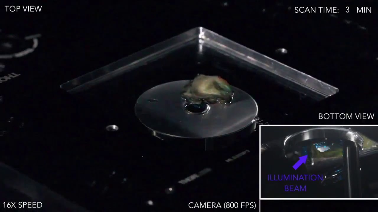 Alpenglow open-top light-sheet (OTLS) microscope demo - YouTube