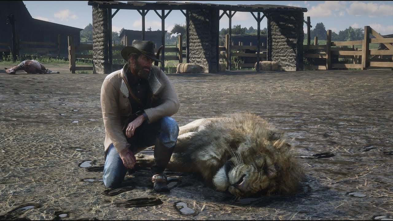 Red Dead Redemption 2 Lion hunt (stranger side mission) - YouTube