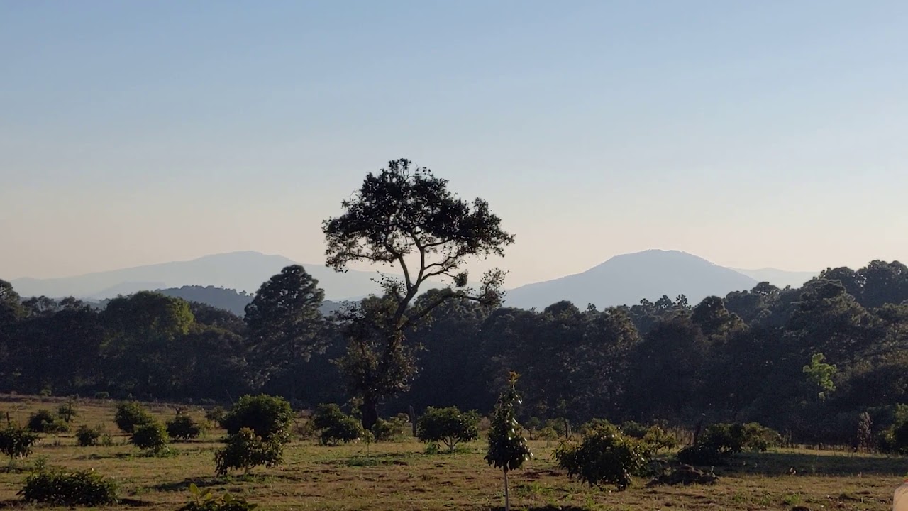 Tarecuato michoacan - YouTube