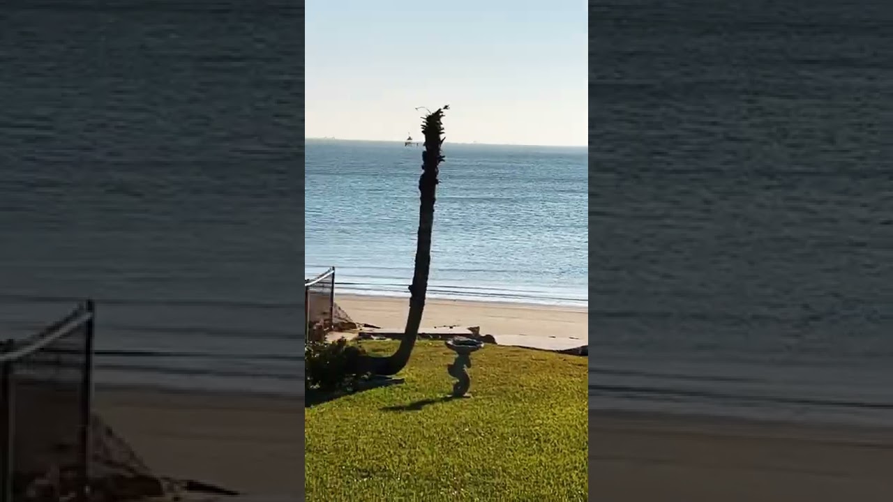 Dear Volcano, Thank you! - YouTube