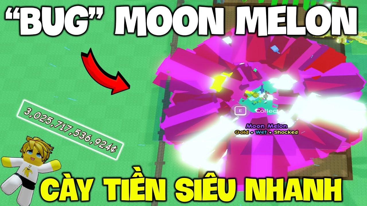 Mình Cày Tiền Siêu Nhanh Bằng Cách "BUG" Moon Melon Siêu To Khổng Lồ ...