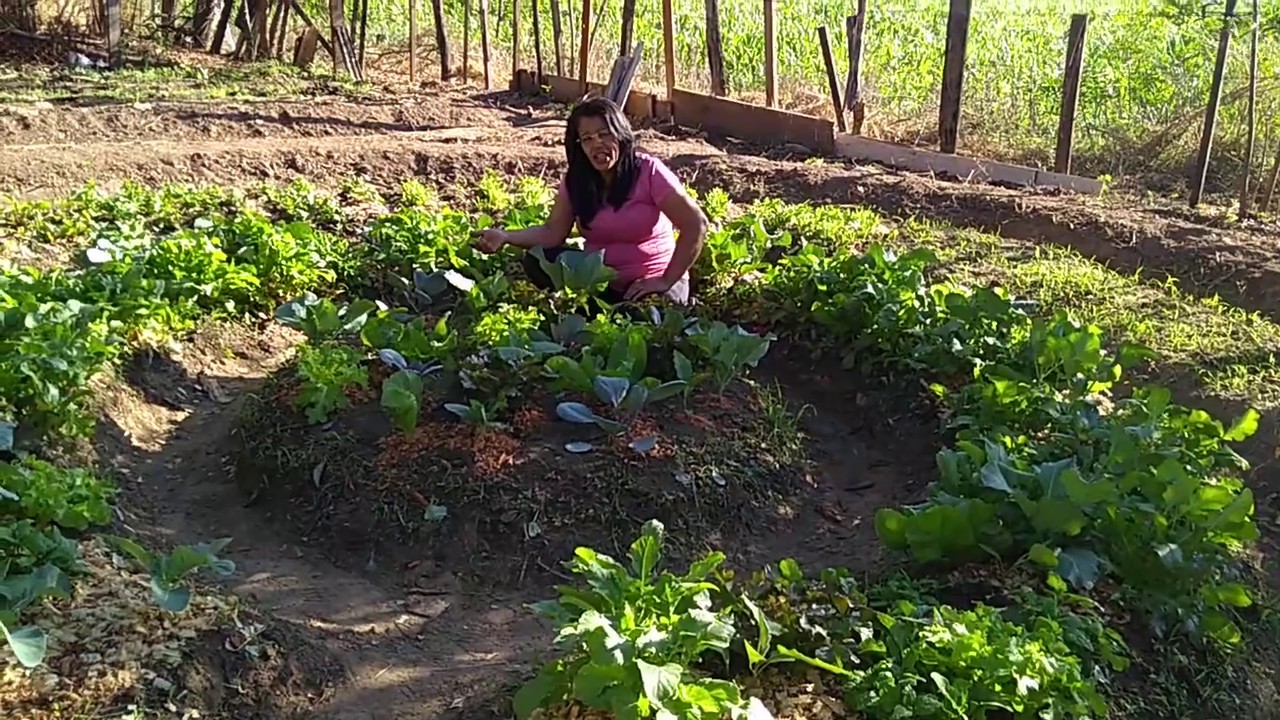 Horta circular mandala - YouTube