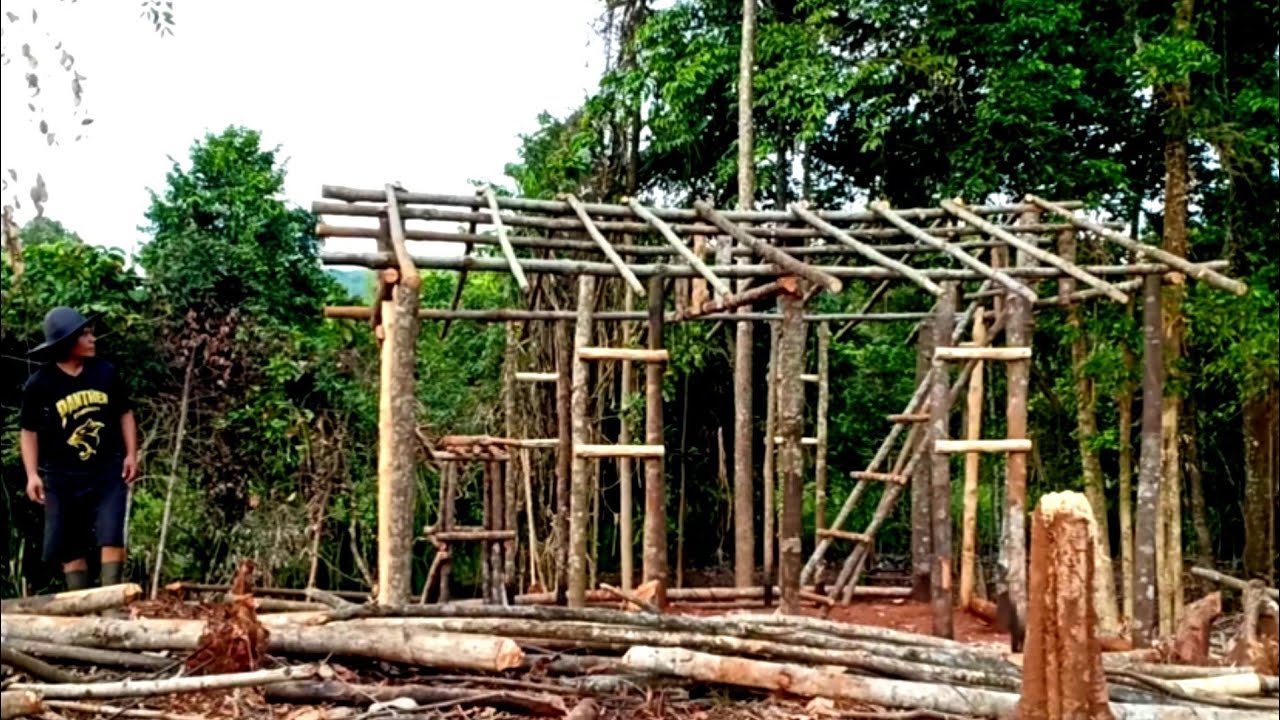 Membuat rangka pondok kayu bulat memulai hidup baru bertani di hutan ep ...