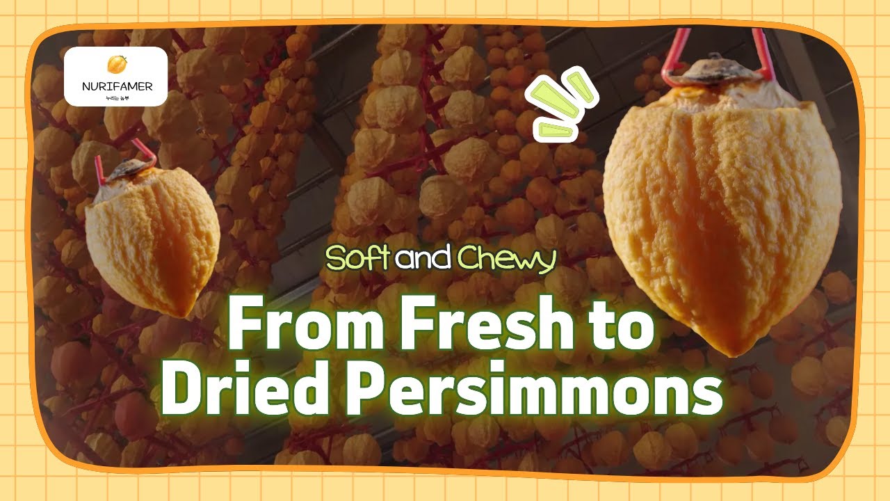 The Making of Nurifarmer Dried Persimmons | From Fresh Harvest to the ...