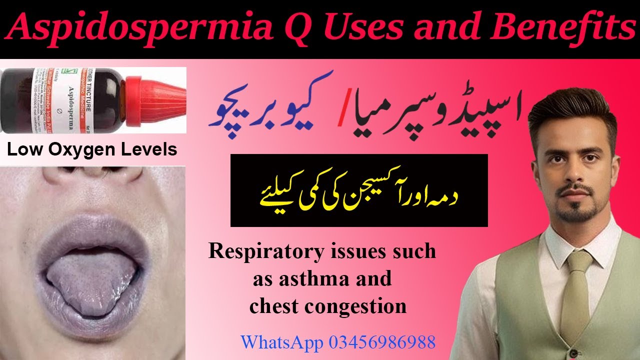 Aspidosperma Quebracho homeopathic medicine uses and benefits | uses of ...