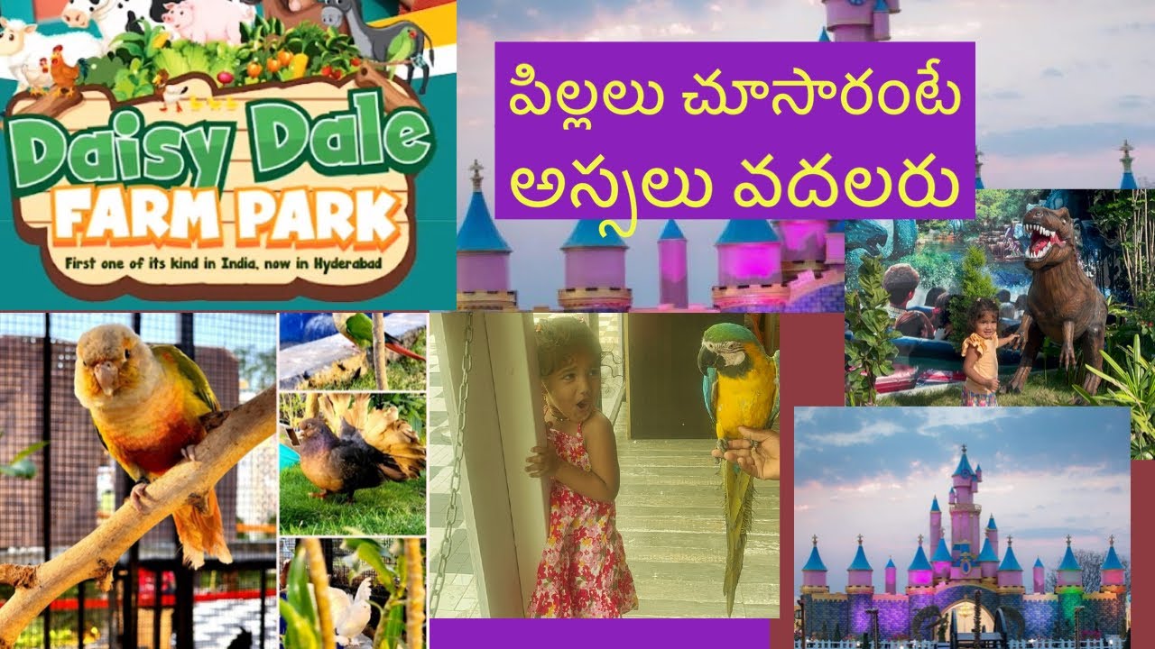 A new attraction for kids in Hyderabad || Daisy Dale Farm Park is a ...