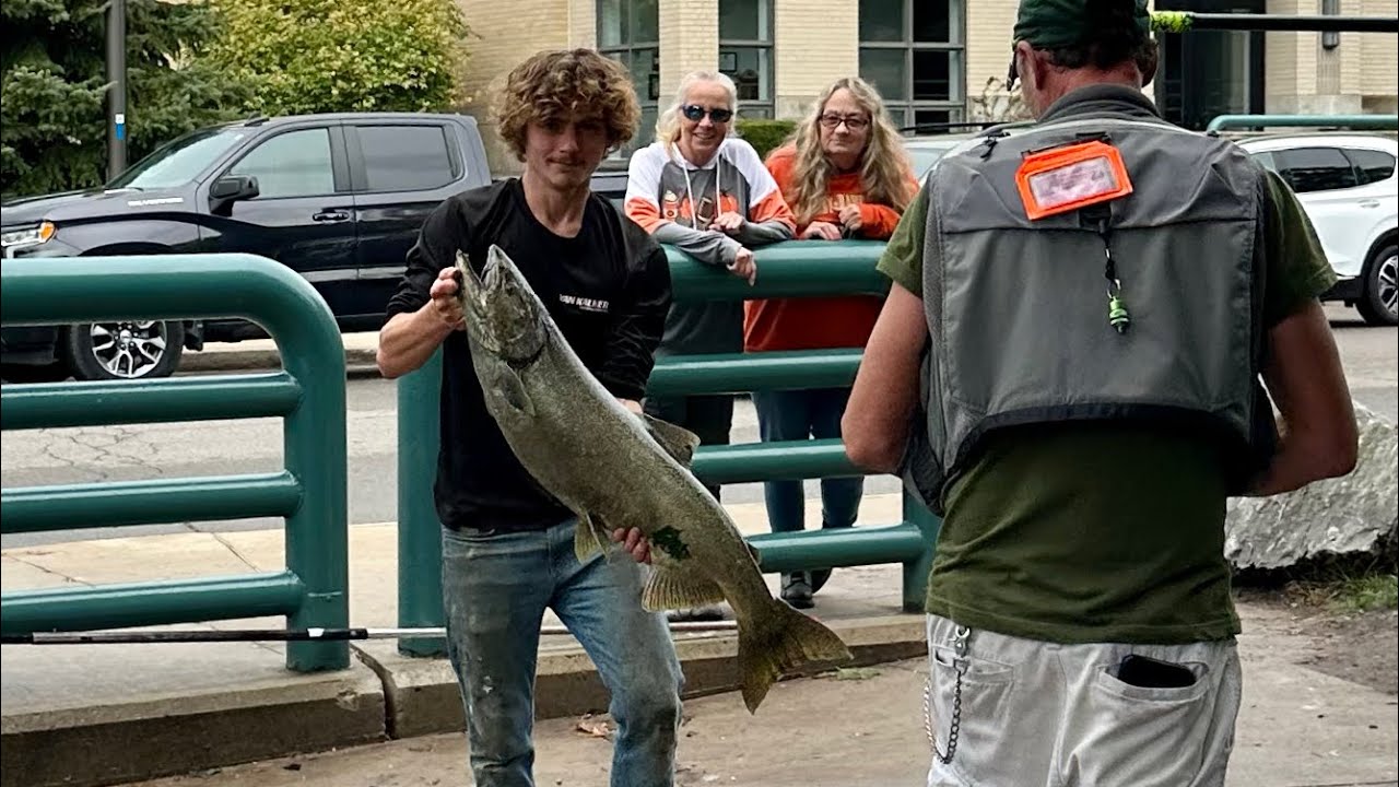 Day 169, Petoskey, MI. Bear River - Salmon run! Watched one make it up ...