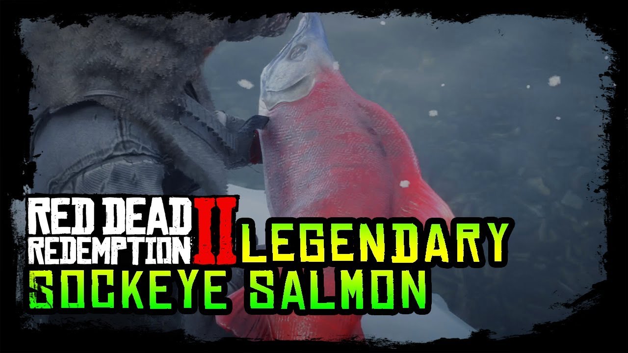 RED DEAD REDEMPTION 2 - LEGENDARY SOCKEYE SALMON - LOCATION - SPECIAL ...