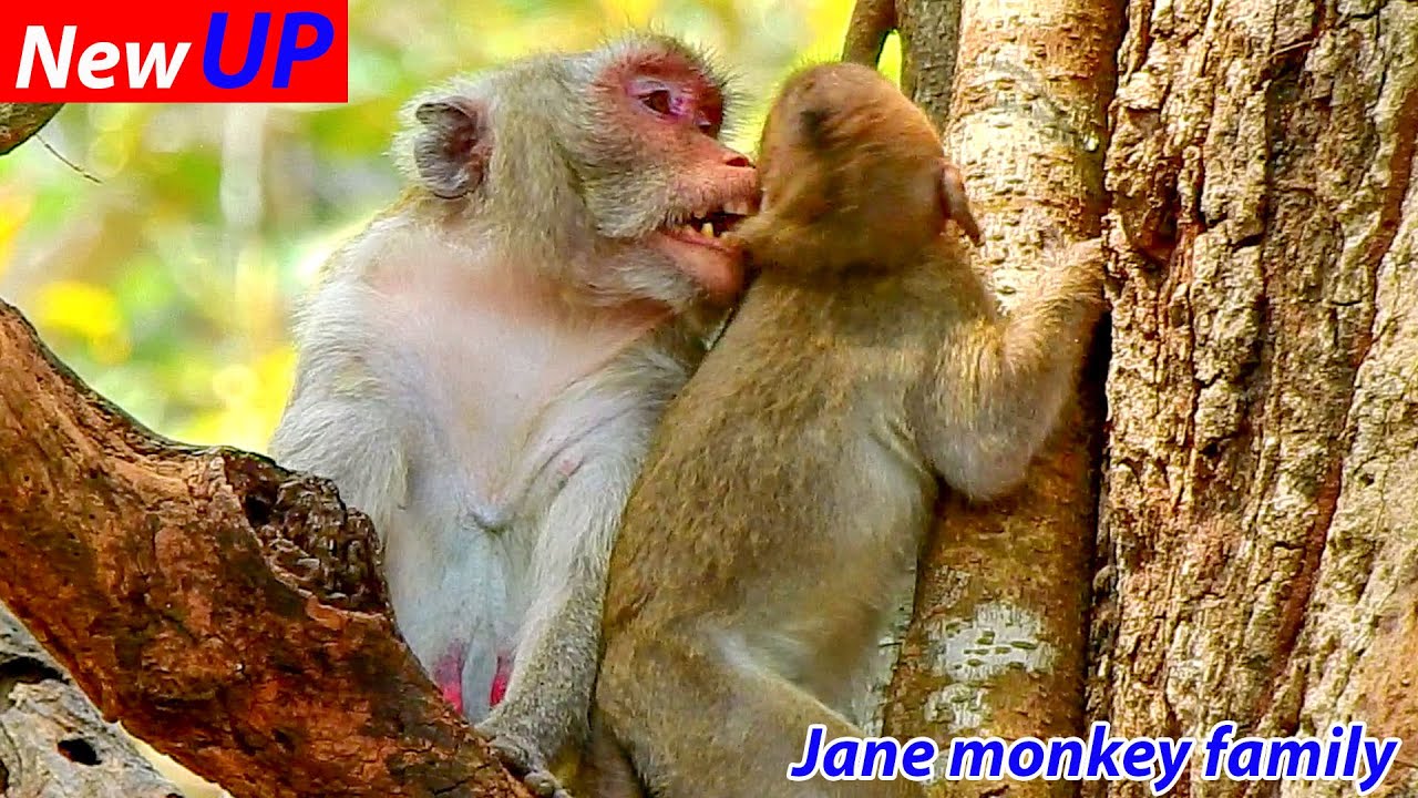 OMG_Jane choose this way b!te Jonna`s ear to listen her clearly no ask ...