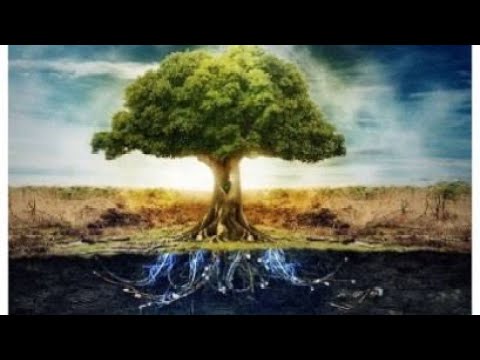 Sin is what's keeping us from the tree of life - YouTube