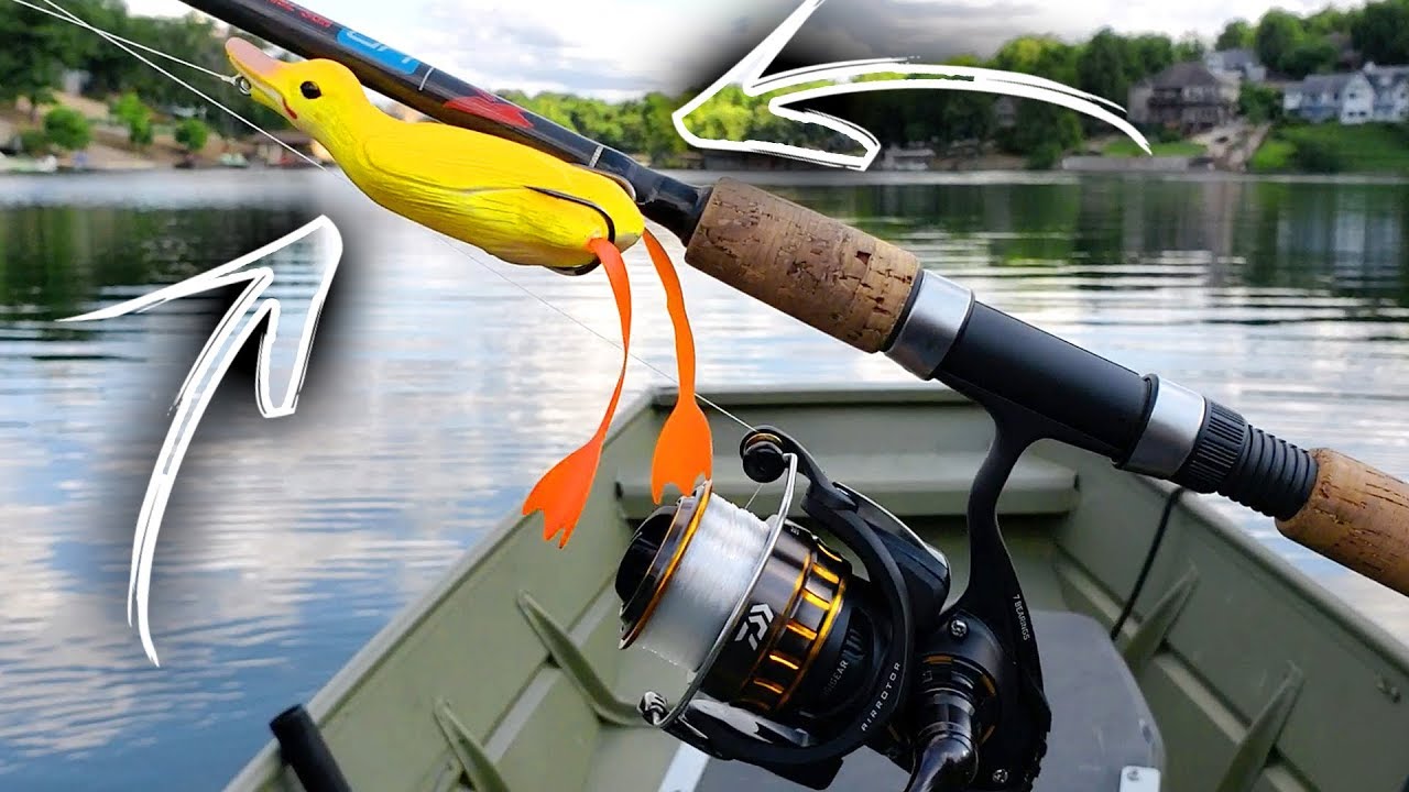 Baby DUCK LURE? Will Bass EAT This? (TOP WATER BASS CHALLENGE) - YouTube