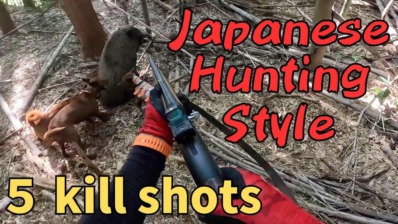 【Japanese hounds】Wild Boar Hunting Compilation - YouTube