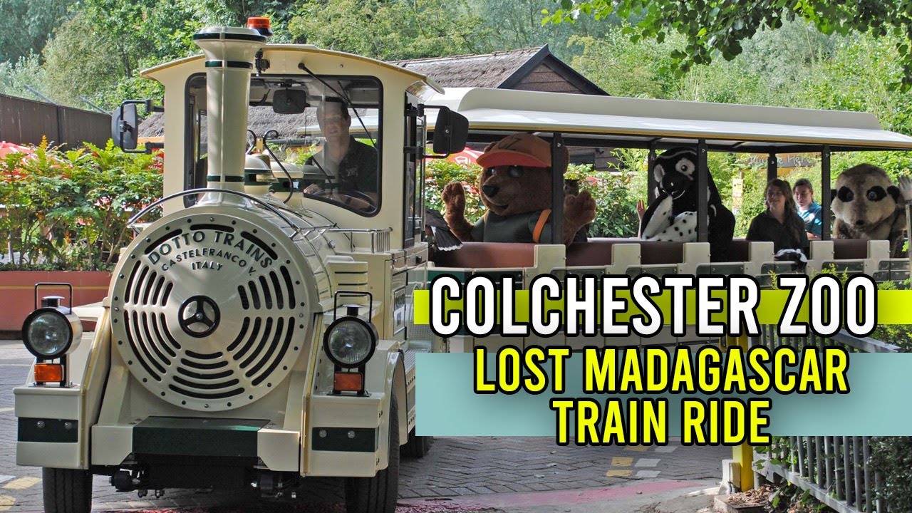 Colchester Zoo Lost Madagascar Train Ride Post CoVID - DJI Osmo Pocket ...