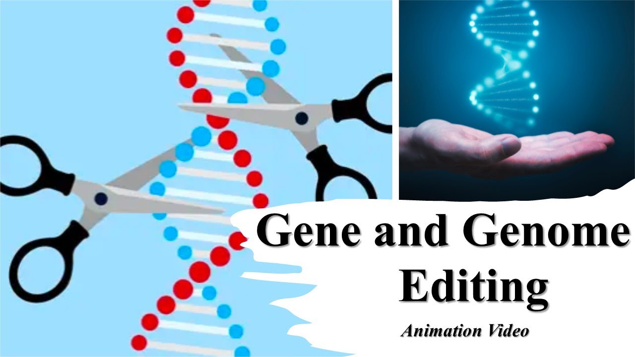 Gene and Genome Editing | How does it work| Animation| - YouTube