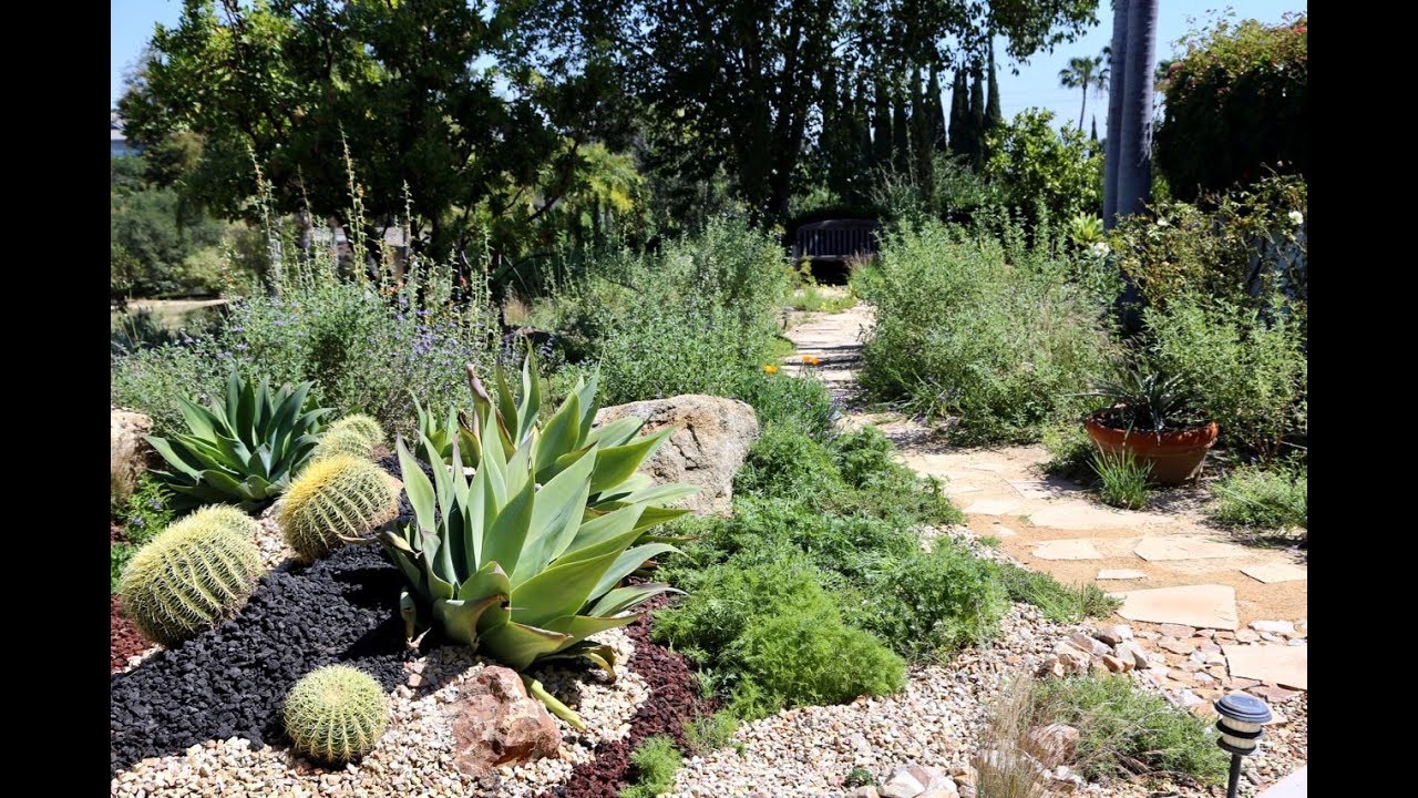 Our Cal Native Plant Garden at 3 Years -- Macro- & Microclimate ...
