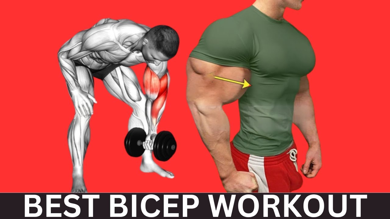 Discover the Real Biceps Workout - YouTube