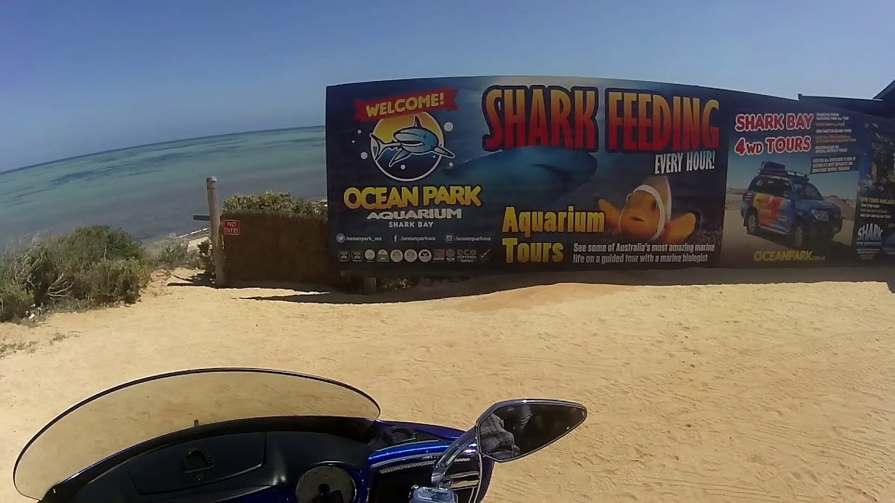 Killer EMU!! - YouTube