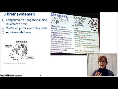 De drie breinsystemen - YouTube