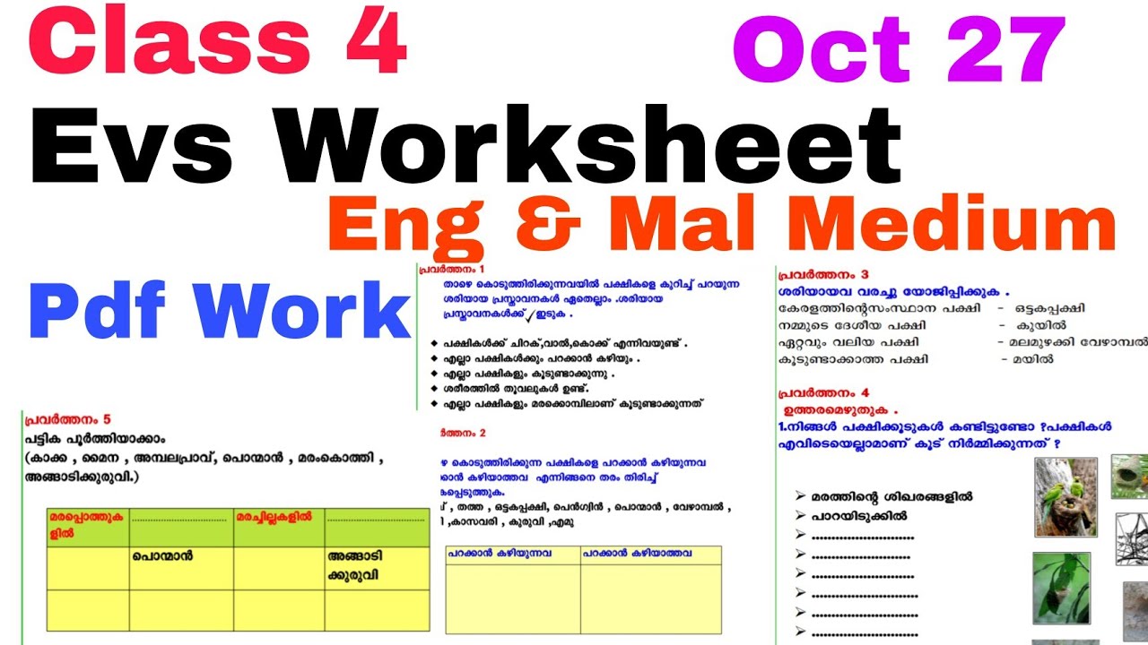 Class 4 Evs Worksheet Oct 27/4 th std evs worksheet 27/10/21/Std 4 evs ...
